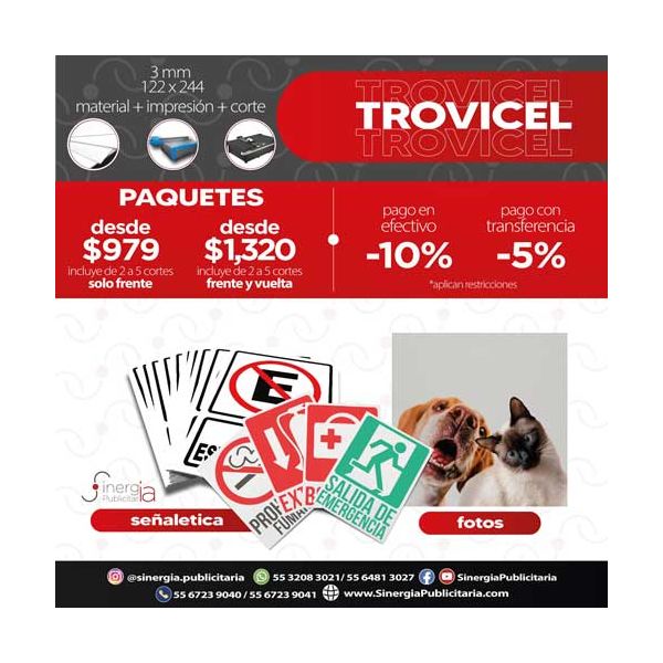 Paquete de Trovicel 6mm 120x240 cms Material + Impresión + Corte